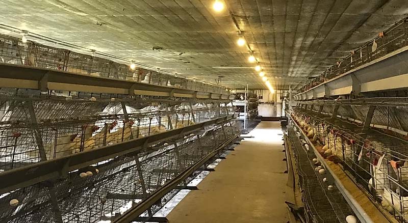 Projects | Dr. Pratima Adhikari, Ph. D. Nutrition and Management ...